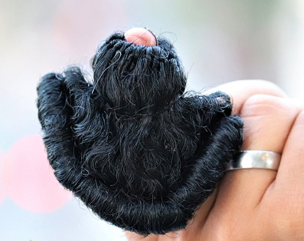 Buy Laddu Gopal Wig Baal/Hair | Kanha Ji Curly Hairs - Vedic Paradise